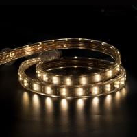 China IP68 6500K Led Rope Light White And Warm White Led Strip Lights For Ceiling for sale