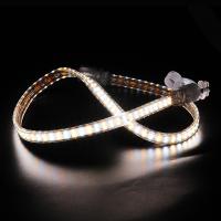 China IP68 6500K Led Rope Light White And Warm White Led Strip Lights For Ceiling for sale