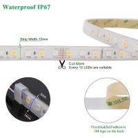 China DIY RGBW Self Adhesive LED Strip 60LEDs IP67 Self Adhesive Led Tape for sale