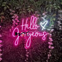 China 12V Neon Sign Acrylic LED Decorative Lights 6000k Plexiglass Neon Signs for sale