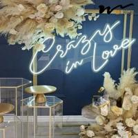 China 12V Neon Sign Acrylic LED Decorative Lights 6000k Plexiglass Neon Signs for sale
