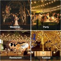 China 7.6m-45m Outdoor Plastic Bulb String Lights Soft Warm White AC 220V for sale