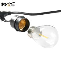 China 2700K-6500K 1w Led Filament Bulb LED Decorative Lights For Garden for sale