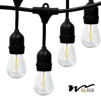 China 2700K-6500K 1w Led Filament Bulb LED Decorative Lights For Garden for sale