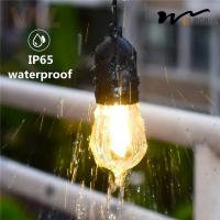 China 2700K-6500K 1w Led Filament Bulb LED Decorative Lights For Garden for sale