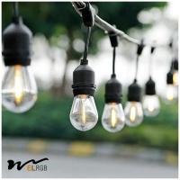 China 2700K-6500K 1w Led Filament Bulb LED Decorative Lights For Garden for sale