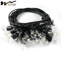 China 2700K-6500K 1w Led Filament Bulb LED Decorative Lights For Garden for sale