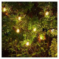 China 2700K-6500K 1w Led Filament Bulb LED Decorative Lights For Garden for sale