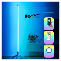 China APP Control Smart Floor Lamp LED Decorative Lights RGB Smart Standing Lamp for sale