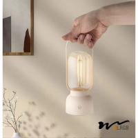 China 180lm Atmosphere Night Light Indoor Work Light 2700K Mosquito Repellent Lamp for sale
