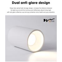 China Household Cob Led Downlight Indoor Work Light 3500K 4000K 5000K for sale