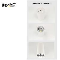 China Household Cob Led Downlight Indoor Work Light 3500K 4000K 5000K for sale