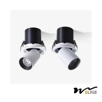 China Residential Telescopic Ceiling Light Indoor Work Light 1200LM For Living Room for sale