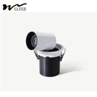 China Residential Telescopic Ceiling Light Indoor Work Light 1200LM For Living Room for sale