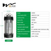 China 200W 1000W Submersible Fishing Light Outdoor Working Light AC220V for sale