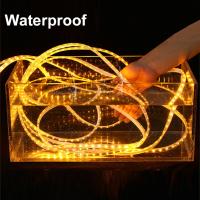 China 2200k 10 Meters Solar Light Strip Outdoor Solar Powered Rope Lights for sale