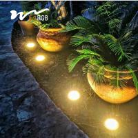 China Garden LED Solar Powered Lights IP65 0.5W Solar Pathway Lights for sale