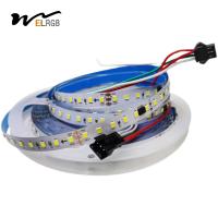 China Residential IP20 Self Adhesive LED Strip 10M 12V Warm White Led Strip for sale