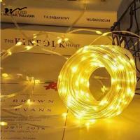 China Outdoor Stall Leather Wire Light Seven Color RGB for Intelligent Control and Ambiance for sale