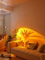 China Intelligent Control LED Floor Lamp Water Ripple Design for Coffee Shop or Night Light for sale