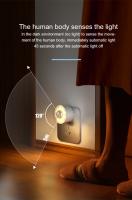 China Intelligent Human Body Sensing Light Control Socket Plug for Aisle Stairway and Toilet for sale