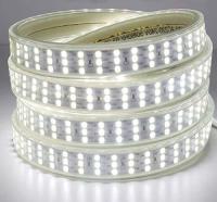China 2835 LED Chip App Controlled Garden Light Strip with 220V and IP67 Waterproof for sale