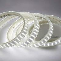 China 2835 LED Chip App Controlled Garden Light Strip with 220V and IP67 Waterproof for sale