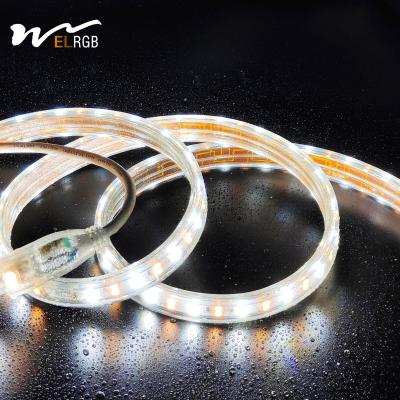 China Outdoor LED Light Strip 110V 220V Double Rows White and Warm White Dual Color with Dimmer Support for sale