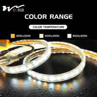 China 110V 220V LED Strip Light Outdoor Waterproof Dual Color White and Warm White Competitive for sale
