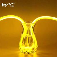 China 110V/220V IP66 Waterproof Smart LED Strip Light Flexible Neon 360-Degree Luminous for sale
