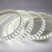 China Transparent Shadow Color LED Flexible Strip Lights 276led/m for Garden Outdoor Decor for sale
