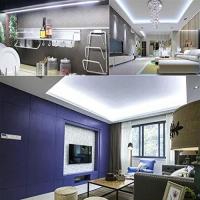 China Transparent Shadow Color LED Flexible Strip Lights 276led/m for Garden Outdoor Decor for sale
