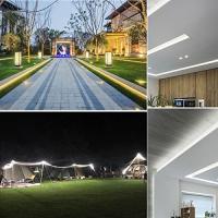 China Transparent Shadow Color LED Flexible Strip Lights 276led/m for Garden Outdoor Decor for sale
