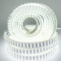 China Transparent Shadow Color LED Flexible Strip Lights 276led/m for Garden Outdoor Decor for sale