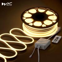 China Flexible Neon Light Strip for Lighting and Circuitry Design IP65 Rated 110V-220V AC for sale