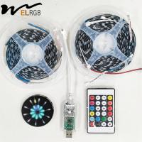 China Festive decoration atmosphere lights LED music voice control lights for smoke flower for sale