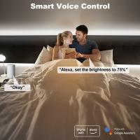 China Smart White COB Led Strip Light with App and Remote 227g IP20 3000K Bright Warm White for sale