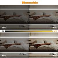 China Smart White COB Led Strip Light with App and Remote 227g IP20 3000K Bright Warm White for sale
