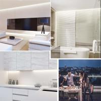 China LED Light Belt 6.1m 3087 Warm White 2000K CRI 90 High Lumen DC24V Flexible Strip Light for sale