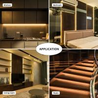 China LED Light Belt 6.1m 3087 Warm White 2000K CRI 90 High Lumen DC24V Flexible Strip Light for sale