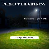 China Outdoor Solar Street Light Waterproof Dusk to Dawn Solar Floodlight with Remote Control for sale