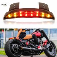 China Motorcycle LED Rear Fender Edge Brake Light with License Plate Tail Light Black Lens for sale