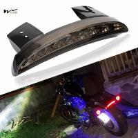 China Motorcycle LED Rear Fender Edge Brake Light with License Plate Tail Light Black Lens for sale