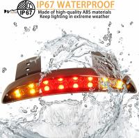 China Motorcycle LED Rear Fender Edge Brake Light with License Plate Tail Light Black Lens for sale