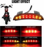 China Motorcycle LED Rear Fender Edge Brake Light with License Plate Tail Light Black Lens for sale