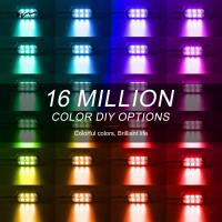 China 12 Pcs Motorcycle LED Light Kit APP/RF Control Waterproof 16 Million Color Brake Light for sale