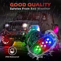 China Multi Color Chasing Neon Light Kit with Remote Control and 50000 Hours Working Time for sale