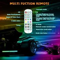 China Multi Color Chasing Neon Light Kit with Remote Control and 50000 Hours Working Time for sale