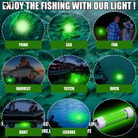China IP68 Green 45W DC 12V Submersible Fishing Light Aluminum Bright LED Underwater Lure Bait Lamp for sale