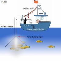 China 16W LED Submersible Fish Finder Light DC 12-48V Underwater Fishing Light for Night Ice Fishing for sale